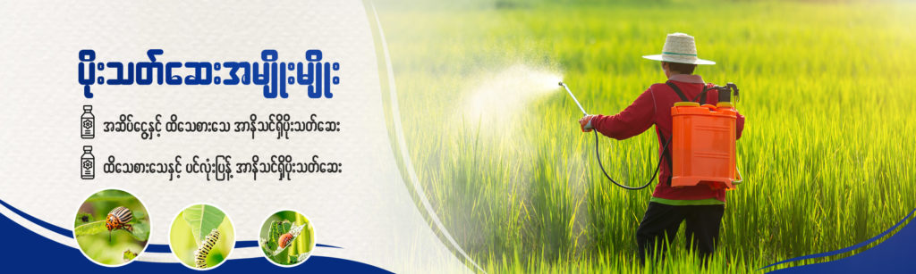 Marlarmyaing Agriculture Marketplace – Since 1989, we started the ...